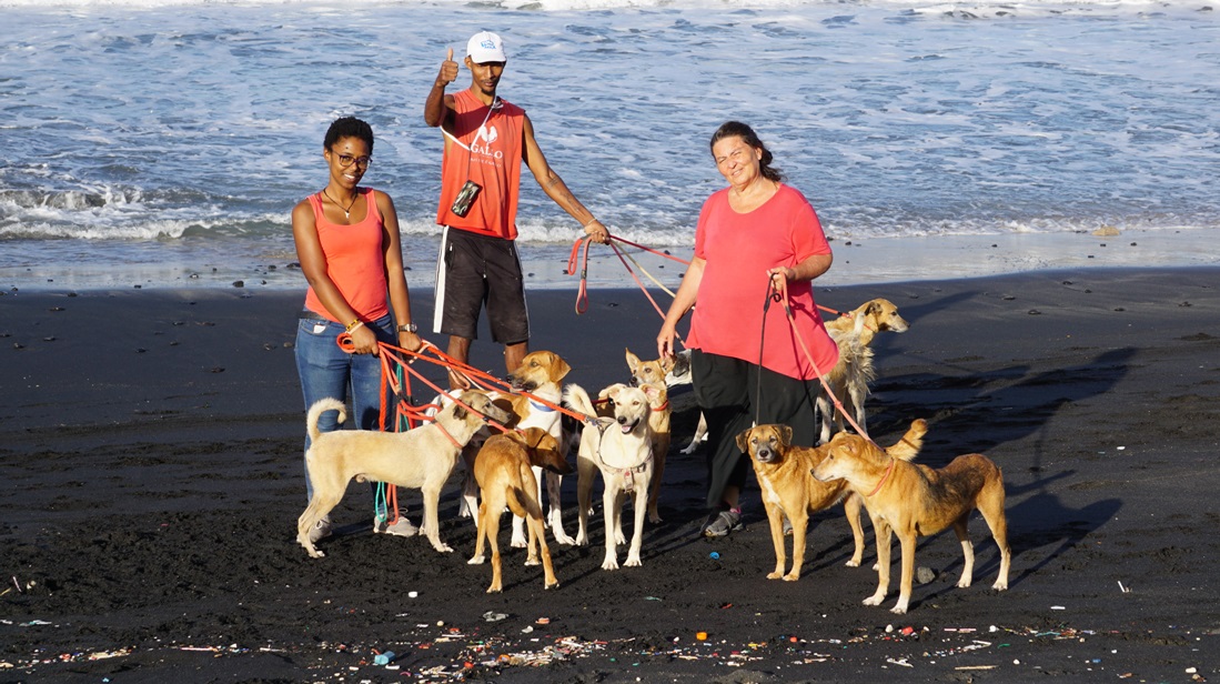 Do Dogs Need Passports To Go To Belize